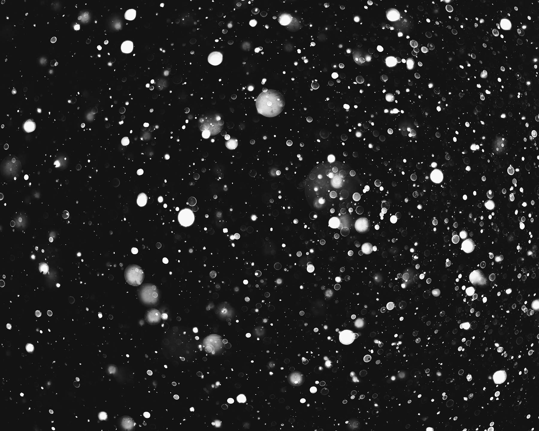 Our Team | Adena Themed Portfolio